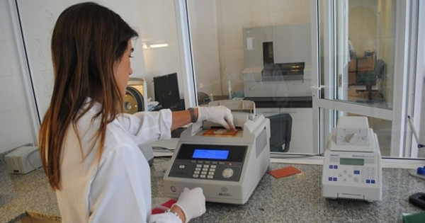 Servicios Laboratorio de ADN - Facultad de Ciencias Médicas de la UNCUYO